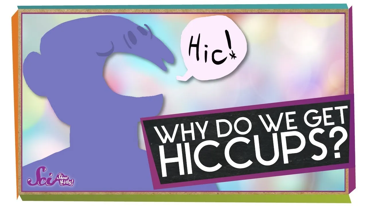 Why Do We Get Hiccups? - ClassX