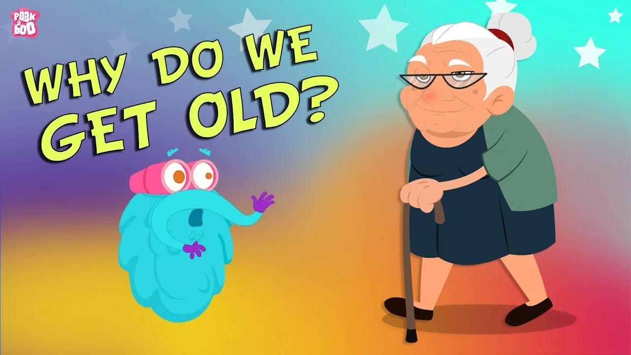 Why Do We Get Old? The Dr. Binocs Show | Best Educational Videos For ...