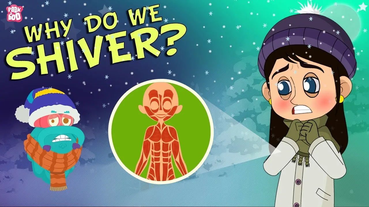 Why Do We Shiver? | Best Educational Videos For Kids - ClassX