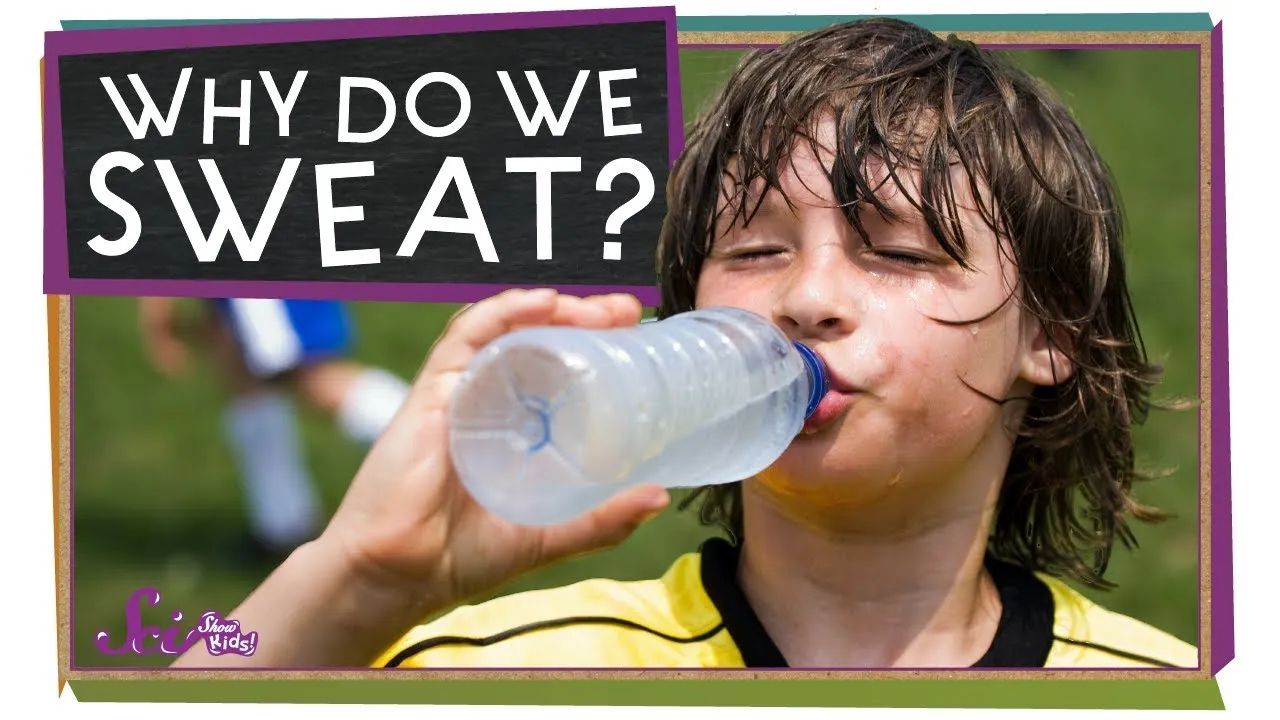 Why Do We Sweat? - ClassX