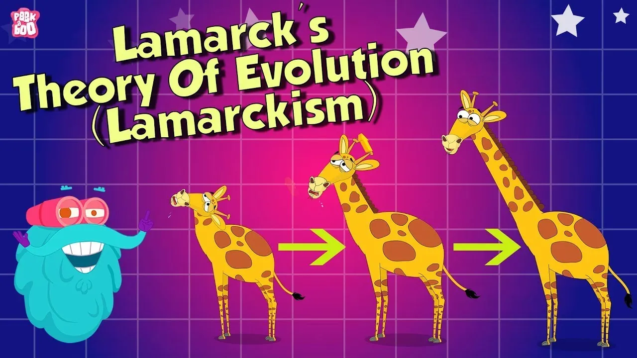 Why Does Giraffe Have a Long Neck? | Theory Of Evolution - ClassX