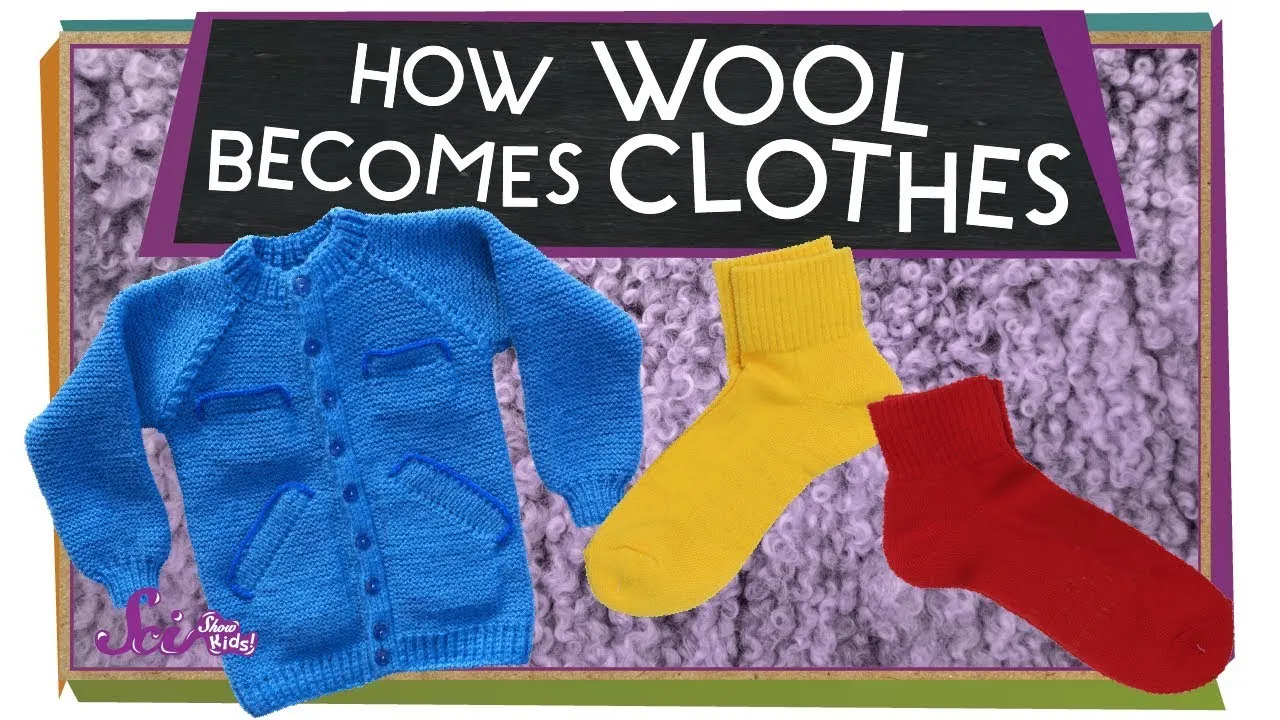 Wonderful Wool! - ClassX
