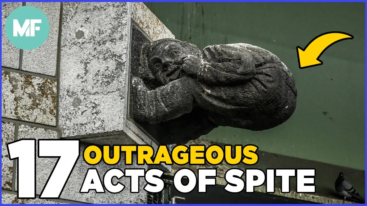 17 Outrageous Things Done Out of Spite - ClassX