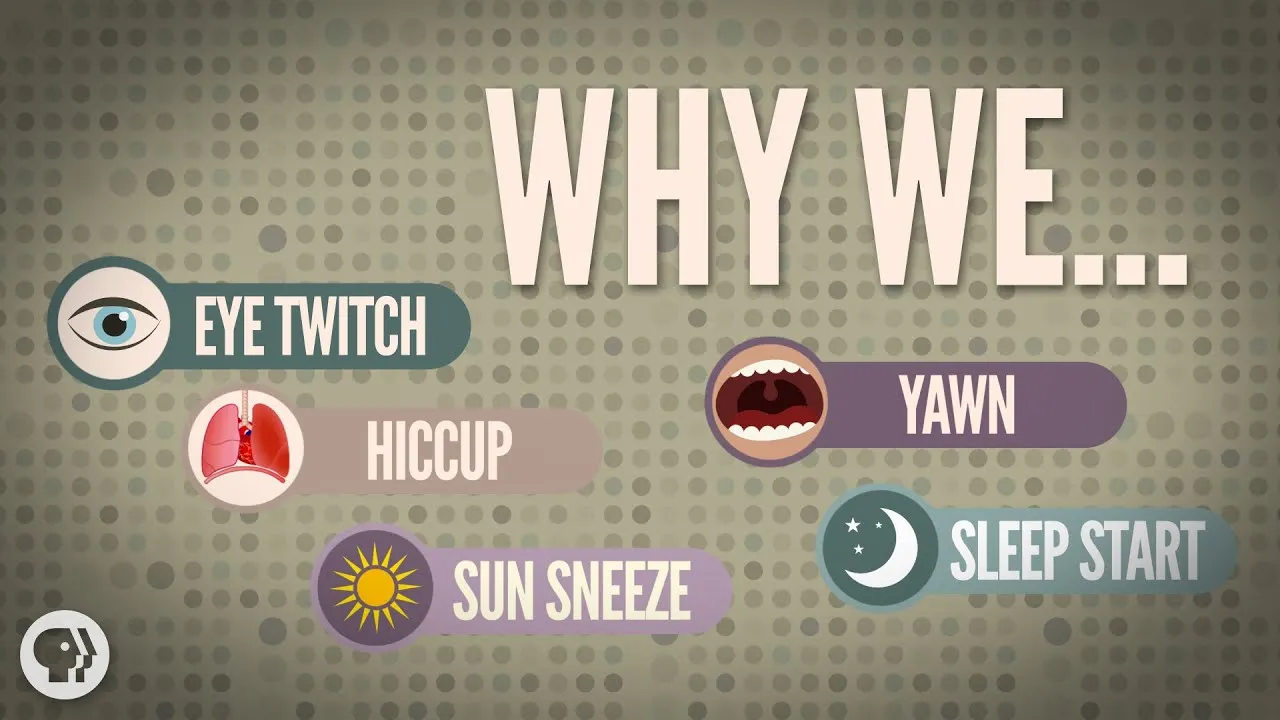 5 Weird Involuntary Behaviors Explained! - ClassX