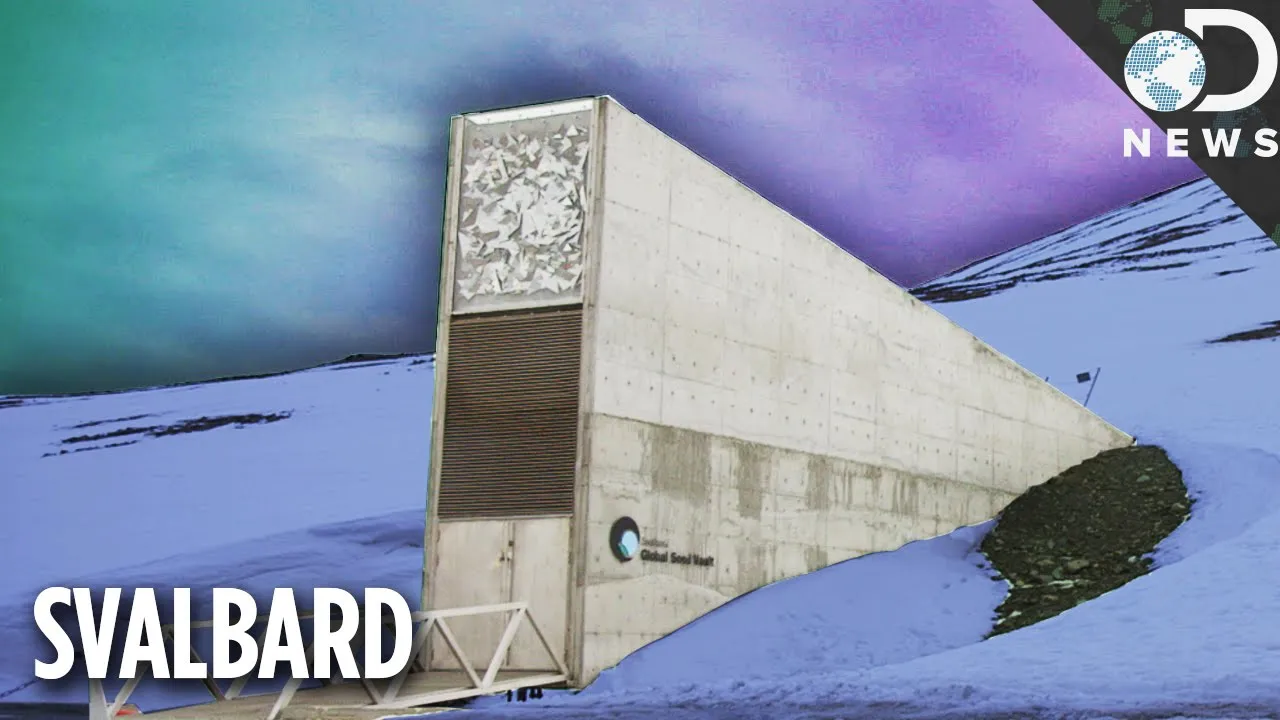A Rare Look Inside The Doomsday Seed Vault Deep In The Arctic - ClassX