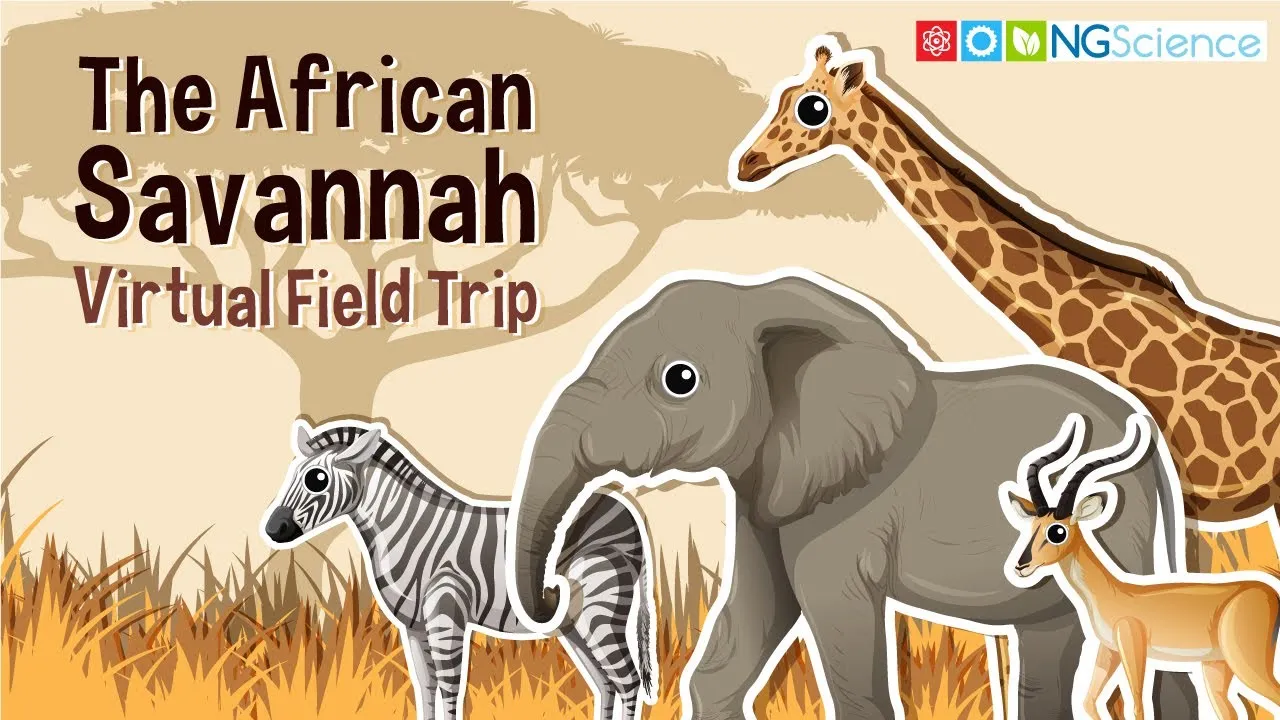 African Savannah – Virtual Field Trip - ClassX