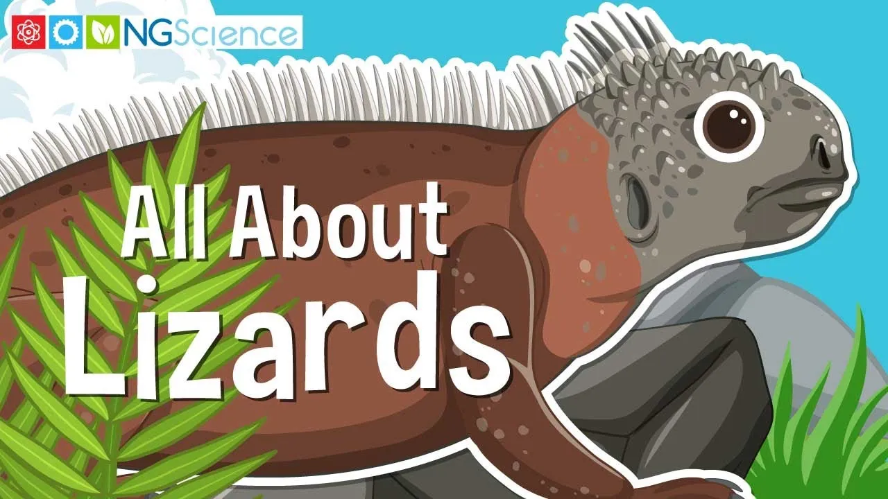 All About Lizards - ClassX