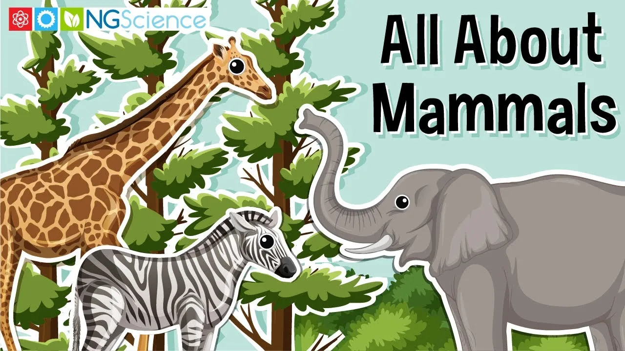 All About Mammals - ClassX