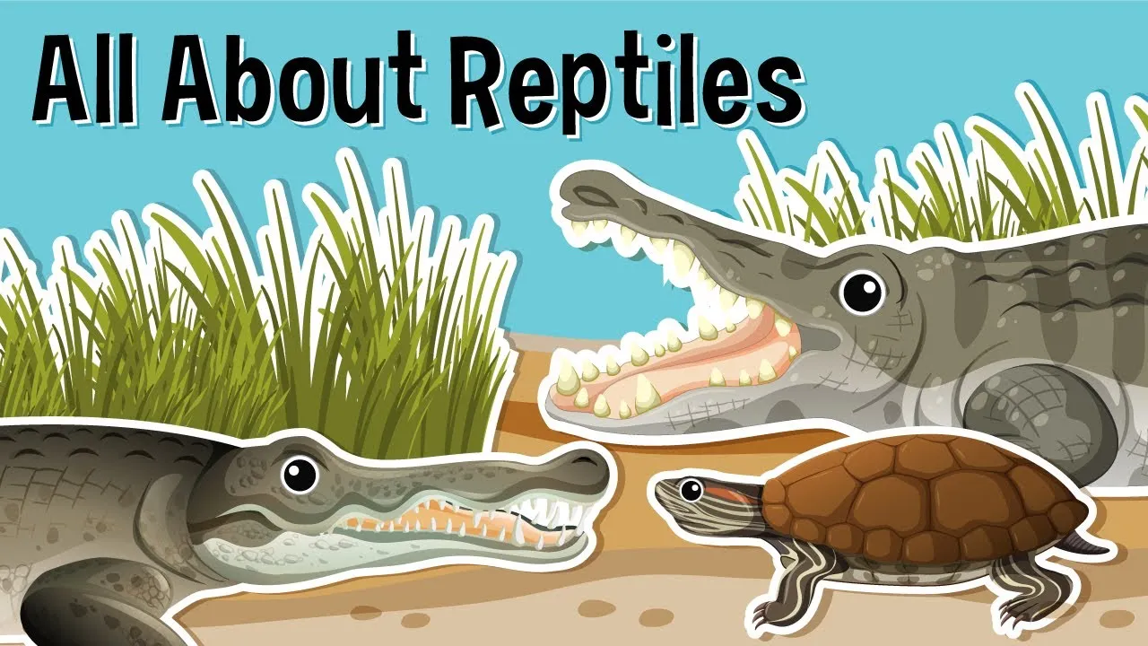 All About Reptiles - ClassX