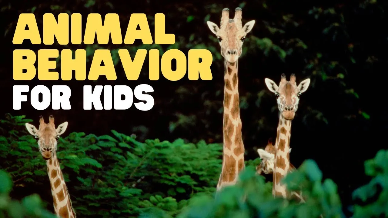 Animal Behavior for Kids | Learn about innate behavior, learned ...