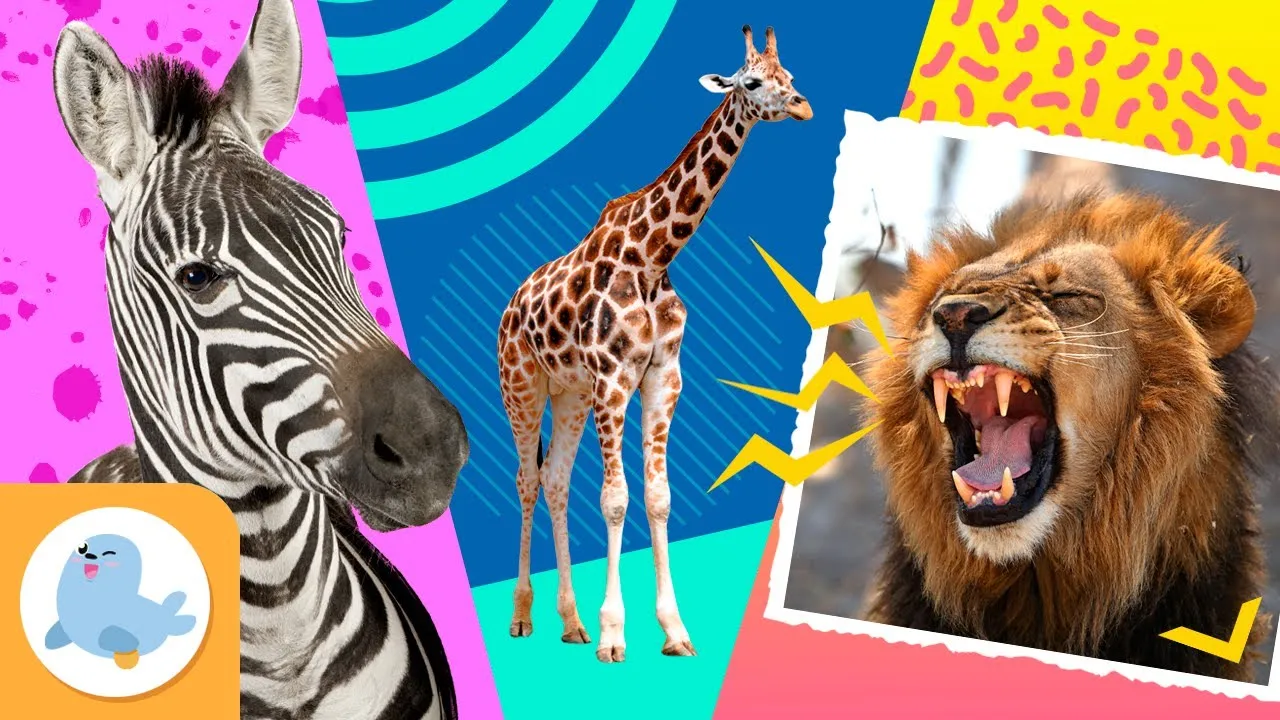 ANIMALS of the AFRICAN SAVANNA ???????? LION, ZEBRA and GIRAFFE ...