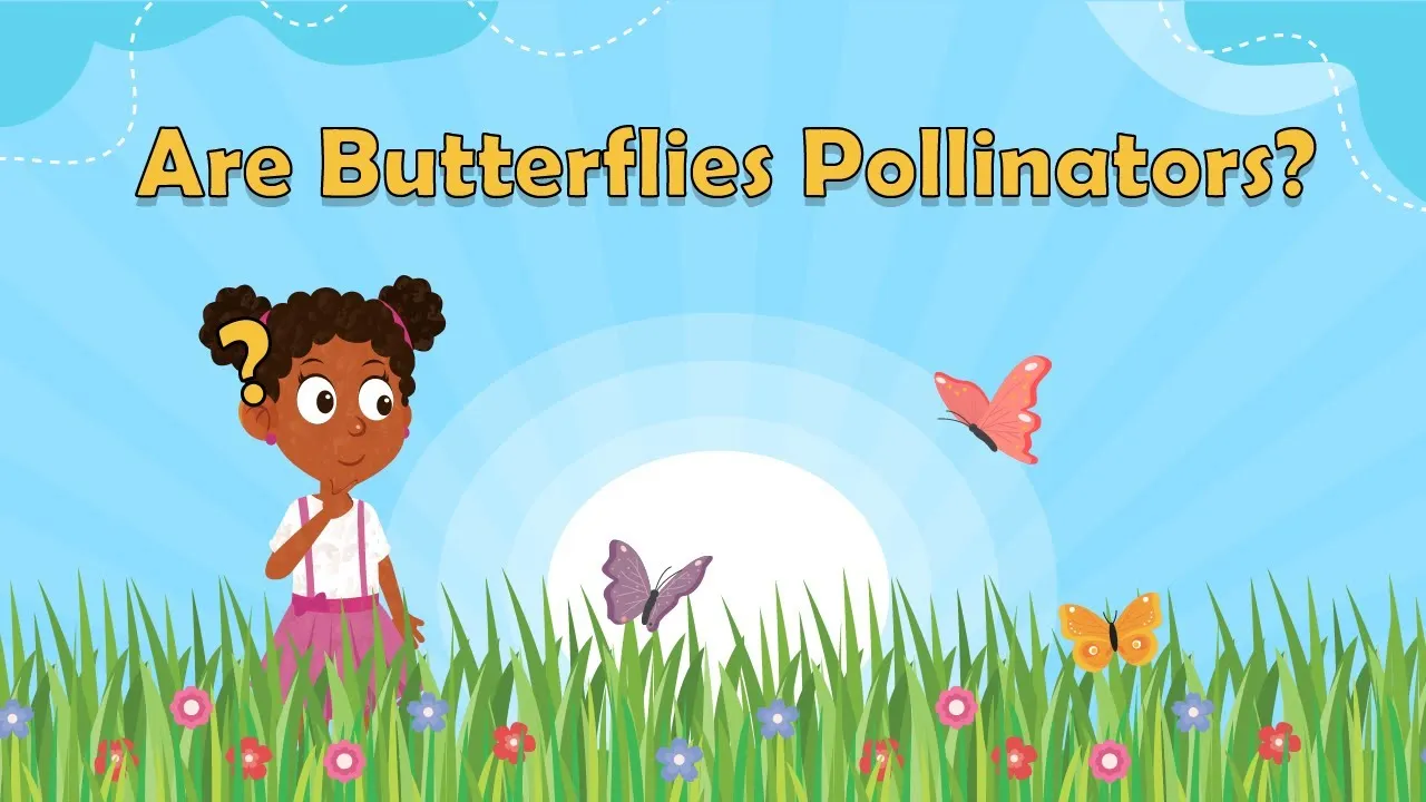 Are Butterflies Pollinators? - ClassX