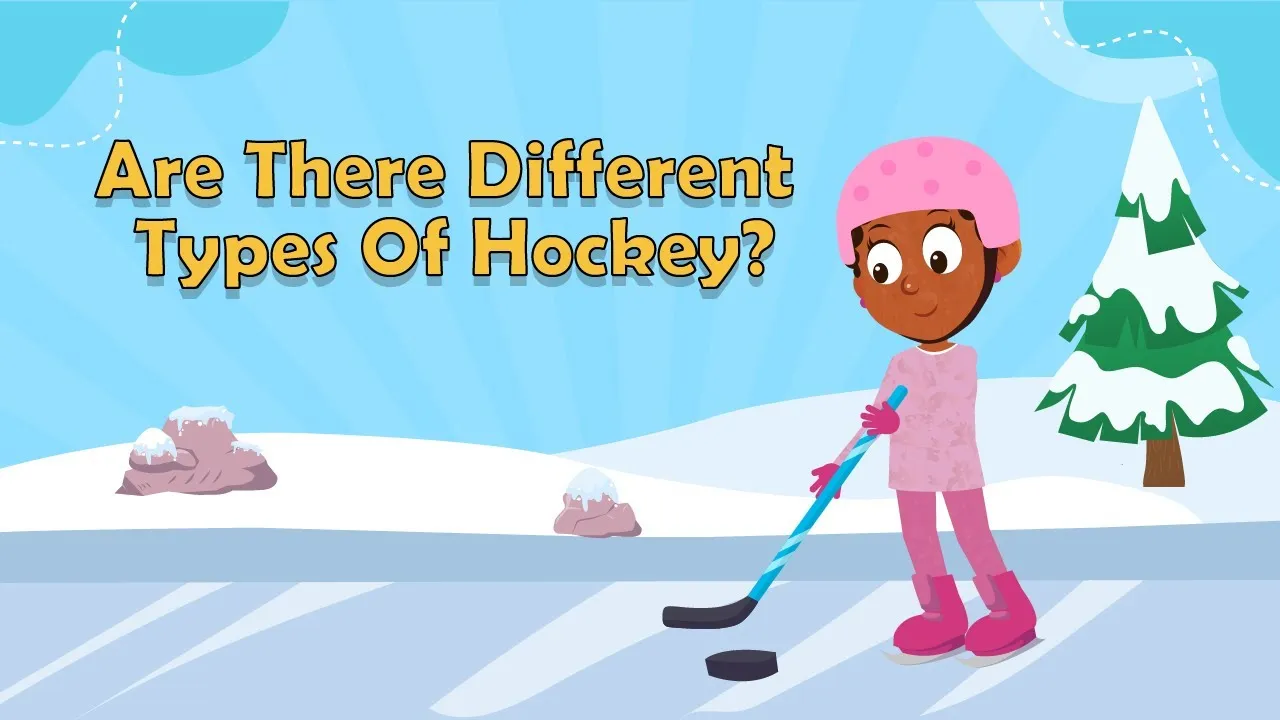 Are There Different Types Of Hockey? - ClassX
