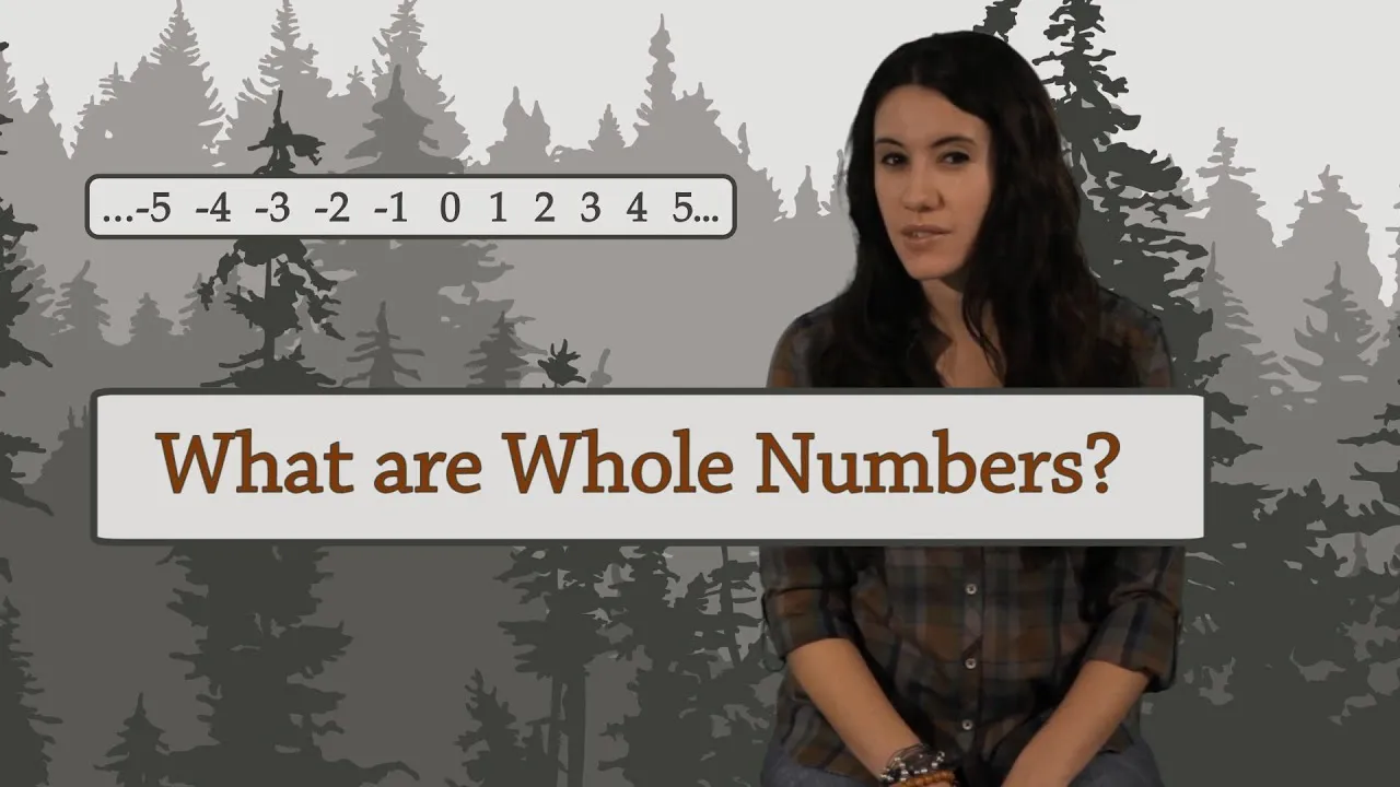 Arithmetic What Are Integers Aka Whole Numbers Counting Numbers