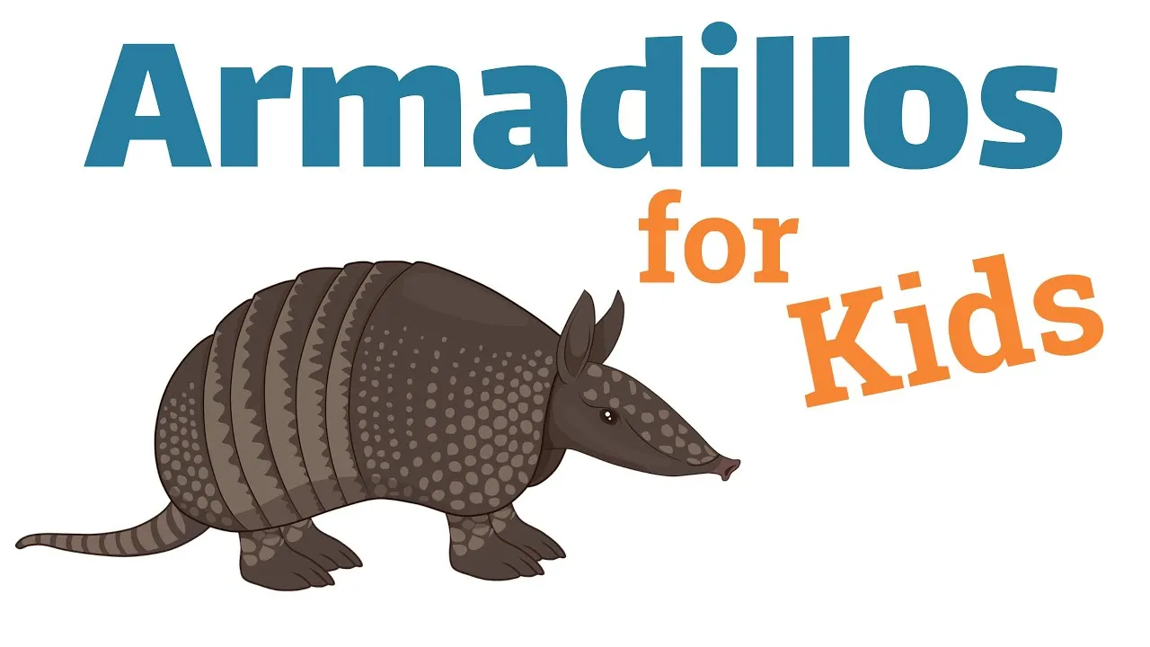 Armadillos for Kids - ClassX