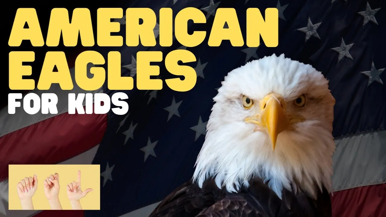 ASL American Eagle for Kids - ClassX
