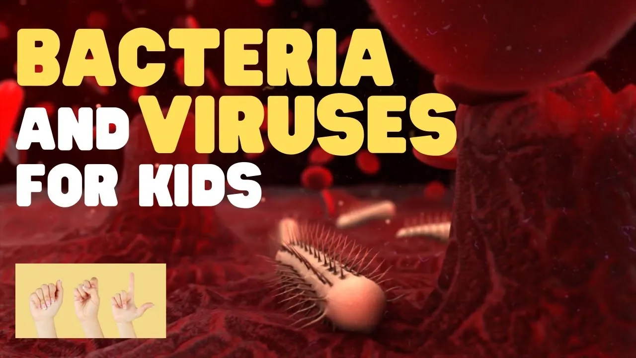 ASL Bacteria and Viruses for Kids - ClassX