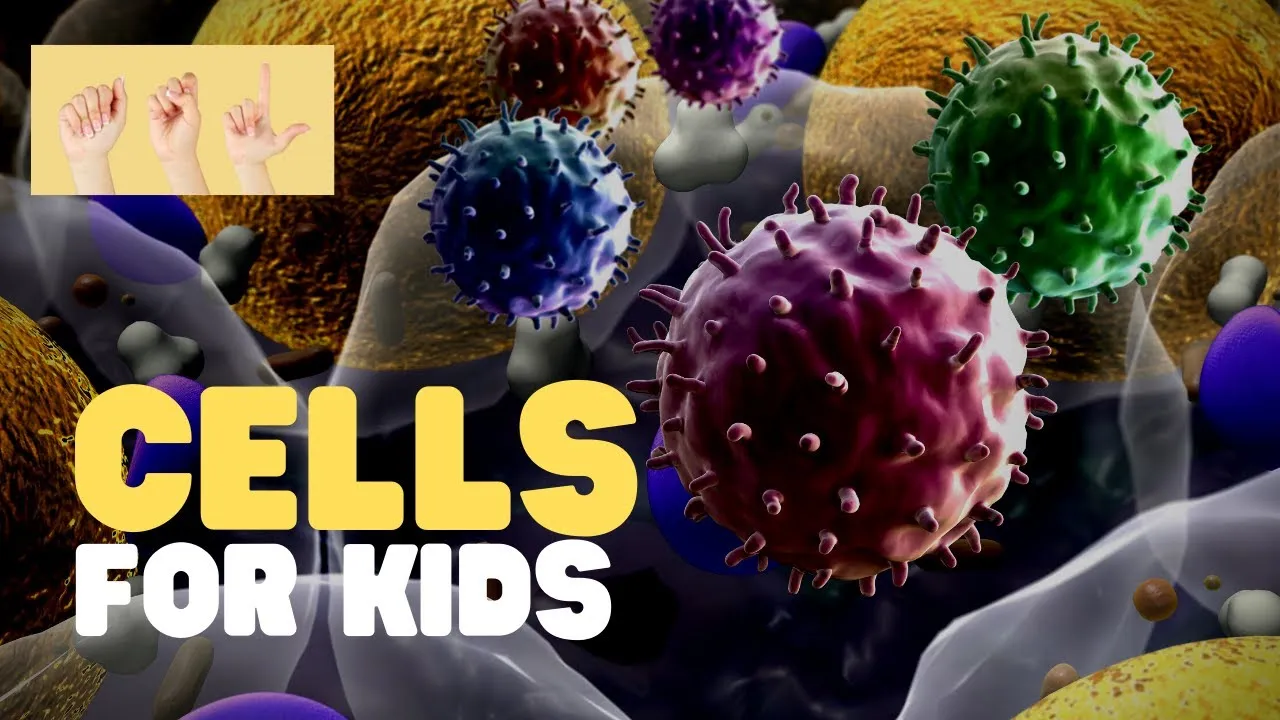 ASL Cells for Kids - ClassX
