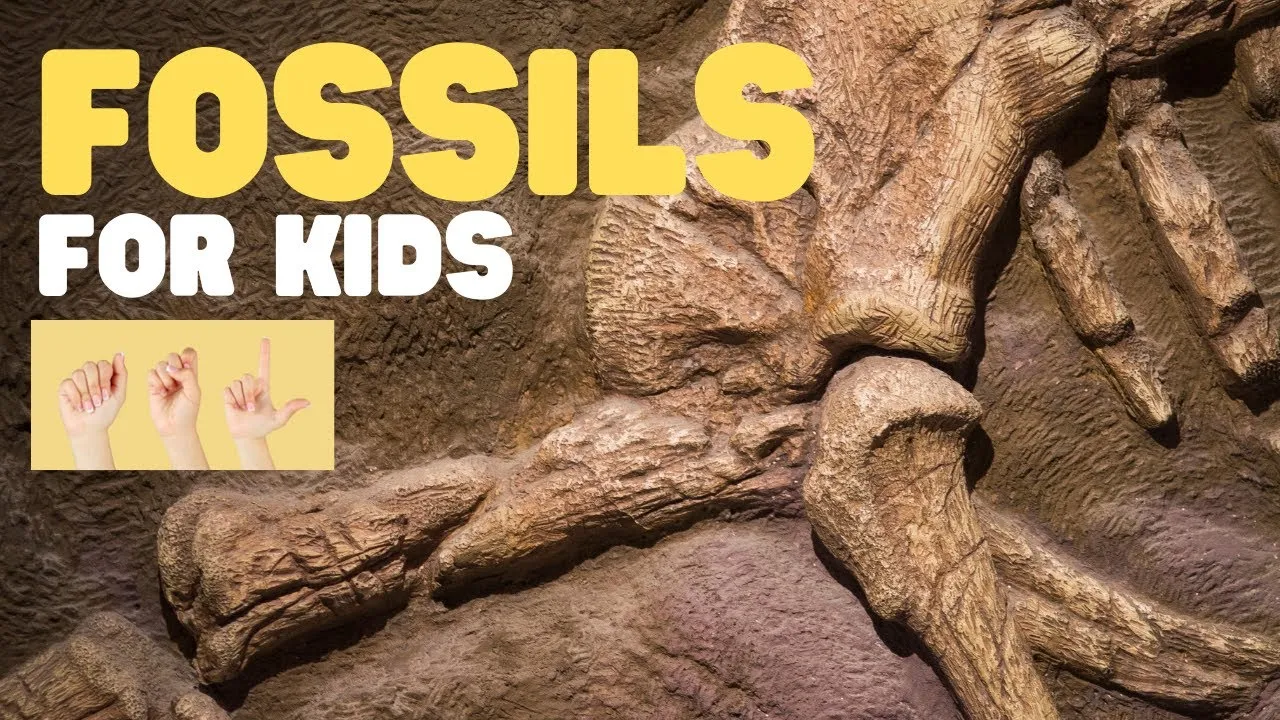 ASL Fossils for Kids - ClassX