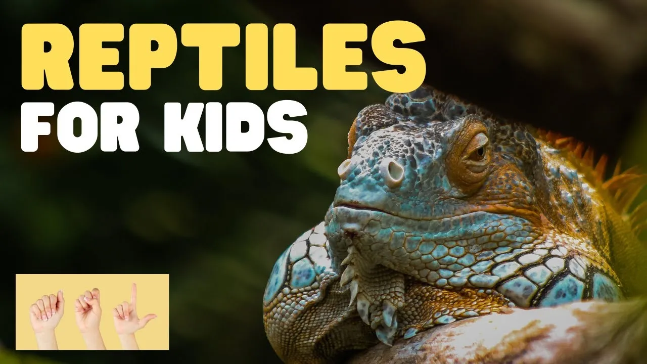 ASL Reptiles for Kids - ClassX