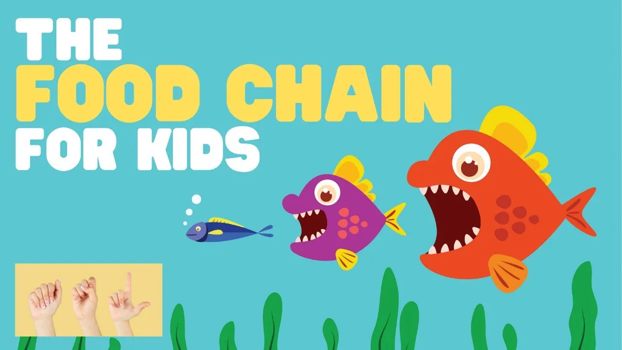 ASL The Food Chain for Kids - ClassX