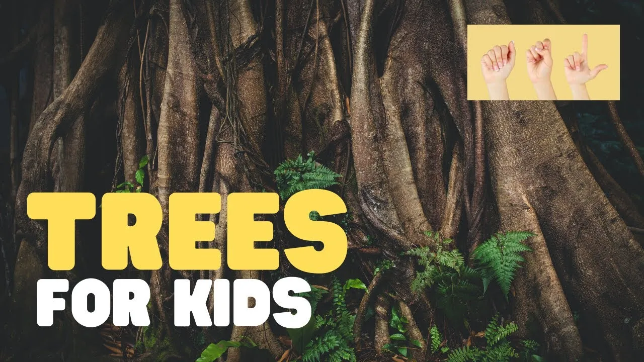 ASL Trees for Kids - ClassX