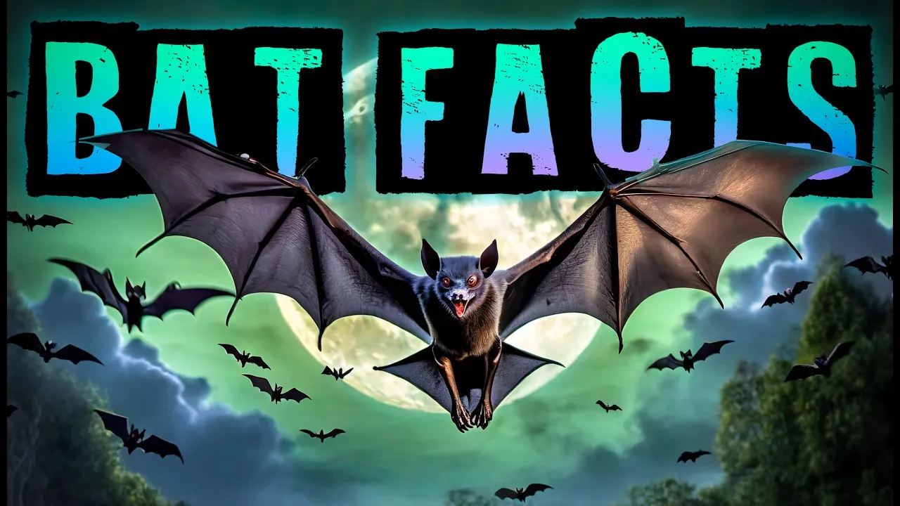 Bat Facts! - ClassX
