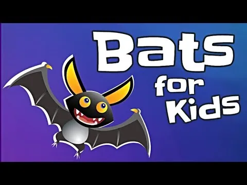 Bats for Kids - ClassX