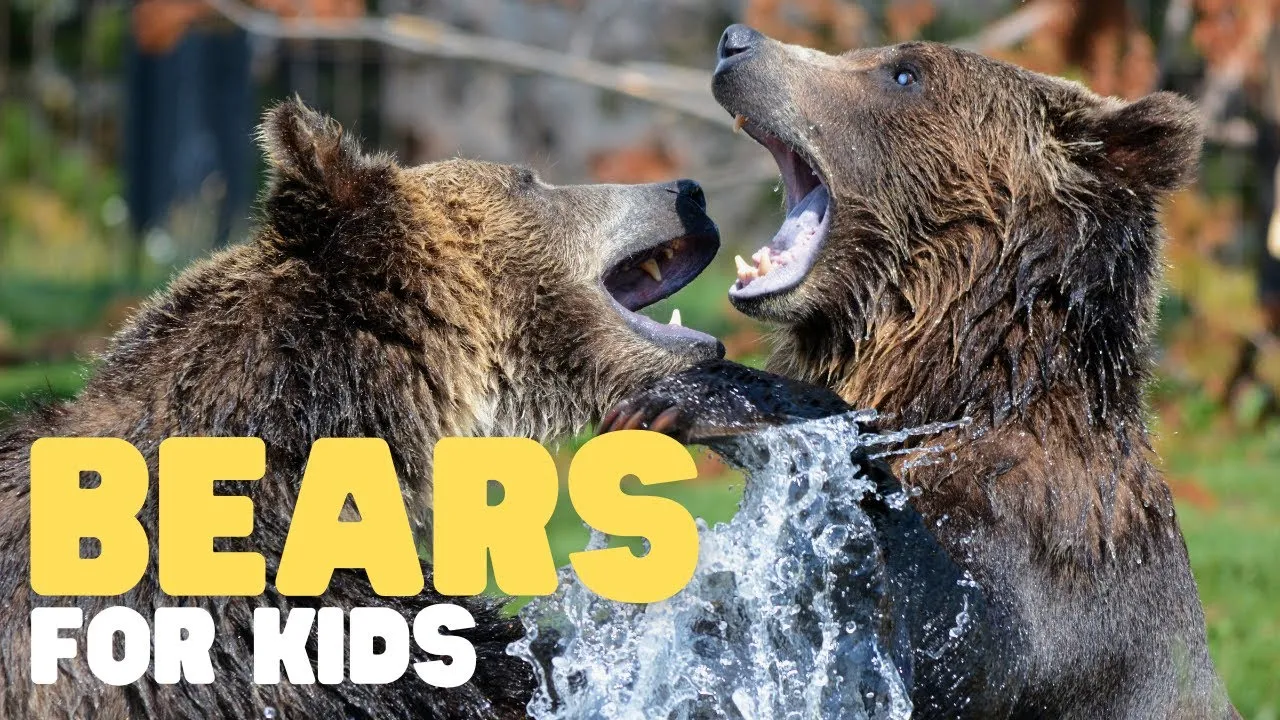 Bears For Kids Learn All About These Honey Loving Mammals Classx