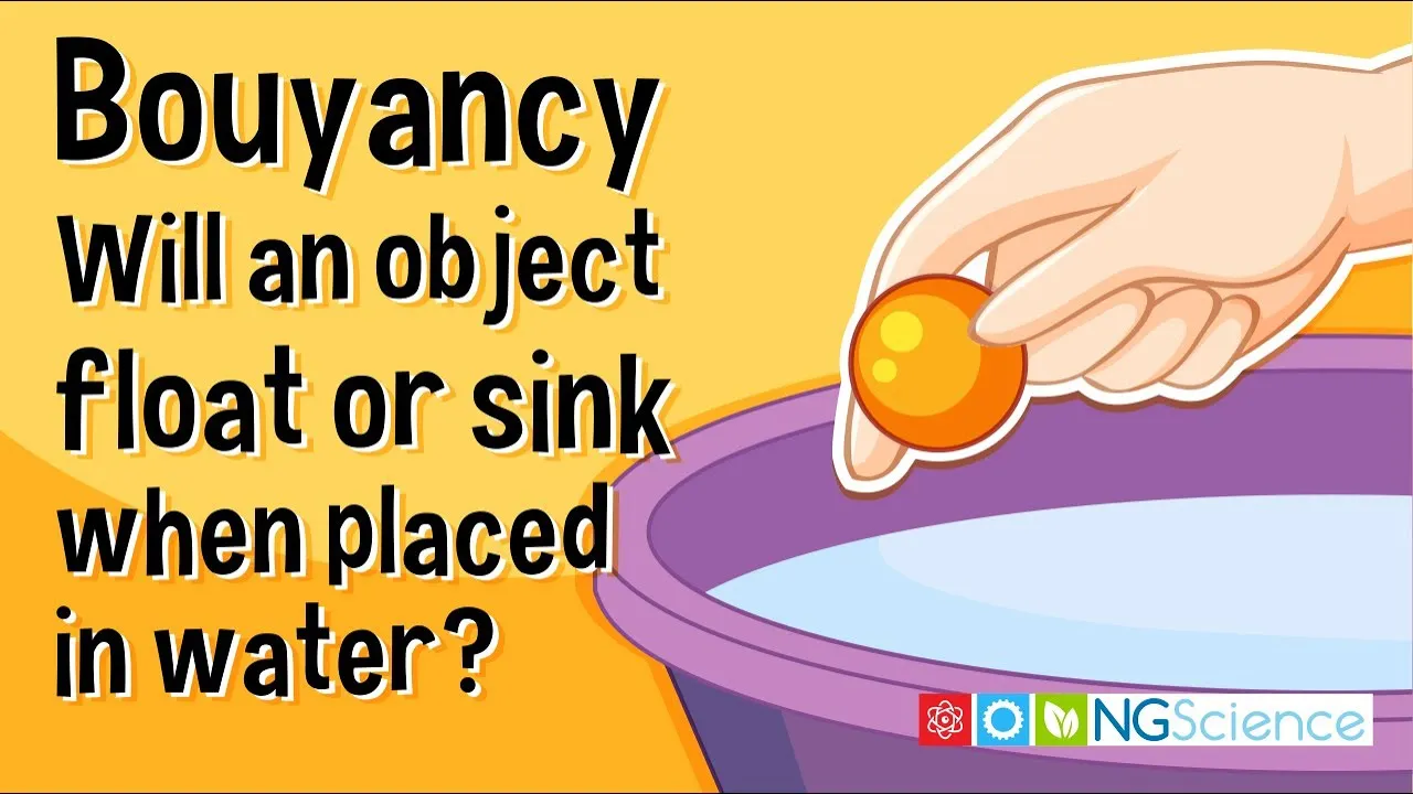 Bouyancy – Will an object float or sink when placed in water? - ClassX