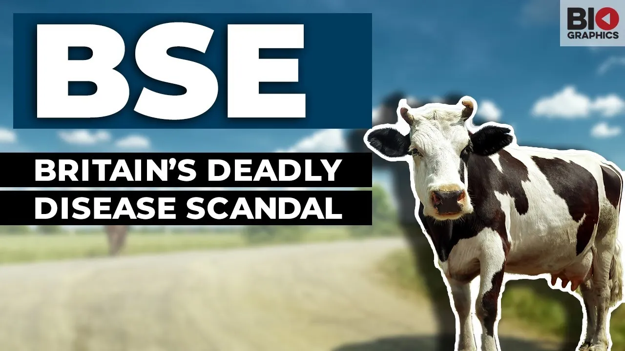 BSE: Britain’s Deadly Disease Scandal - ClassX