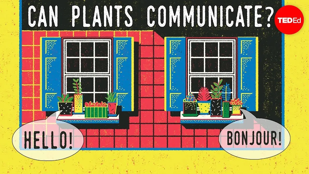 Can plants talk to each other? - Richard Karban - ClassX
