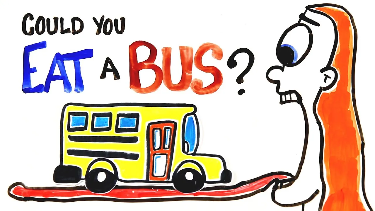 Can You Actually Eat A Bus? - ClassX