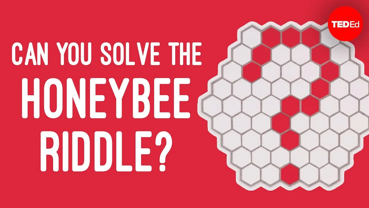 Can you solve the honeybee riddle? - Dan Finkel - ClassX