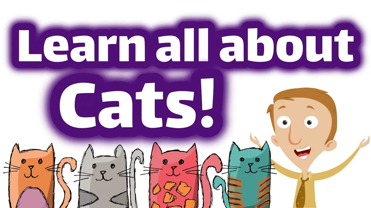 Cats for Kids | Homeschool Pop - ClassX