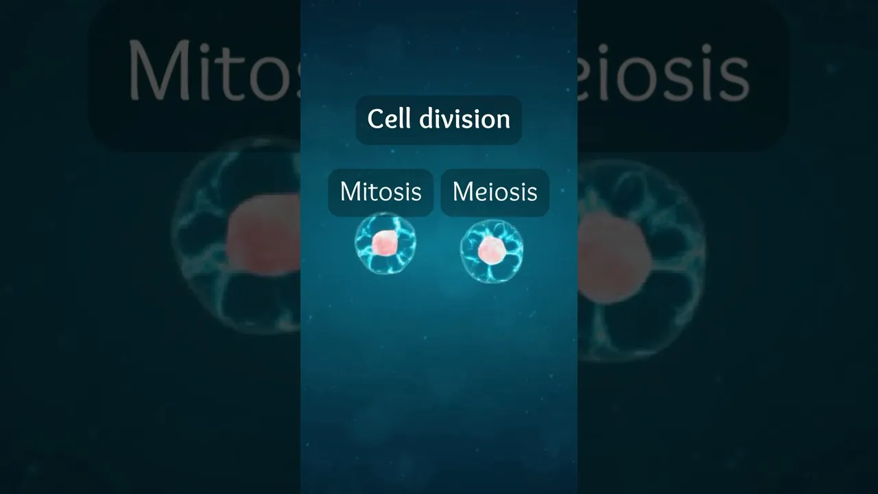 Cell division | Mitosis and Meiosis - ClassX