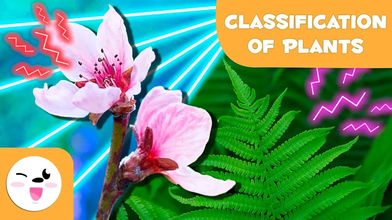 Classification of PLANTS according to their FLOWERS????????Cryptogams ...