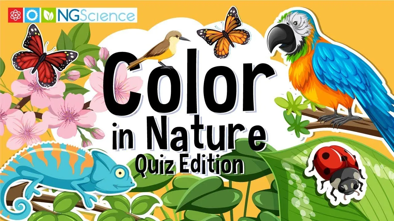 Color in Nature – Quiz Edition - ClassX