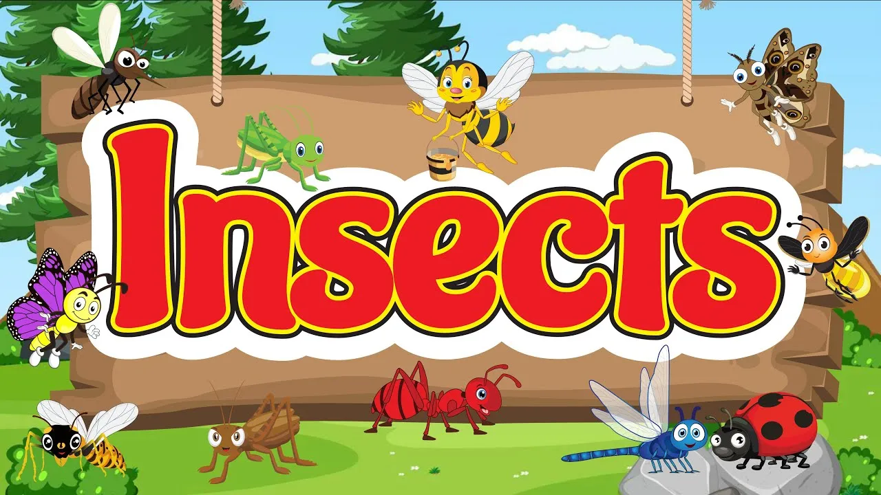 Common Insect Names for Kids | Bugs for Kids | Introduction to Insects ...