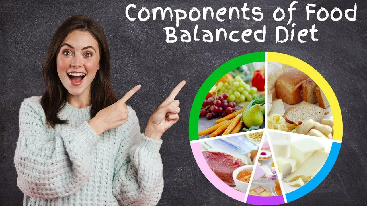 Components of Food | Our Food | Class 4 | Balanced Diet - ClassX