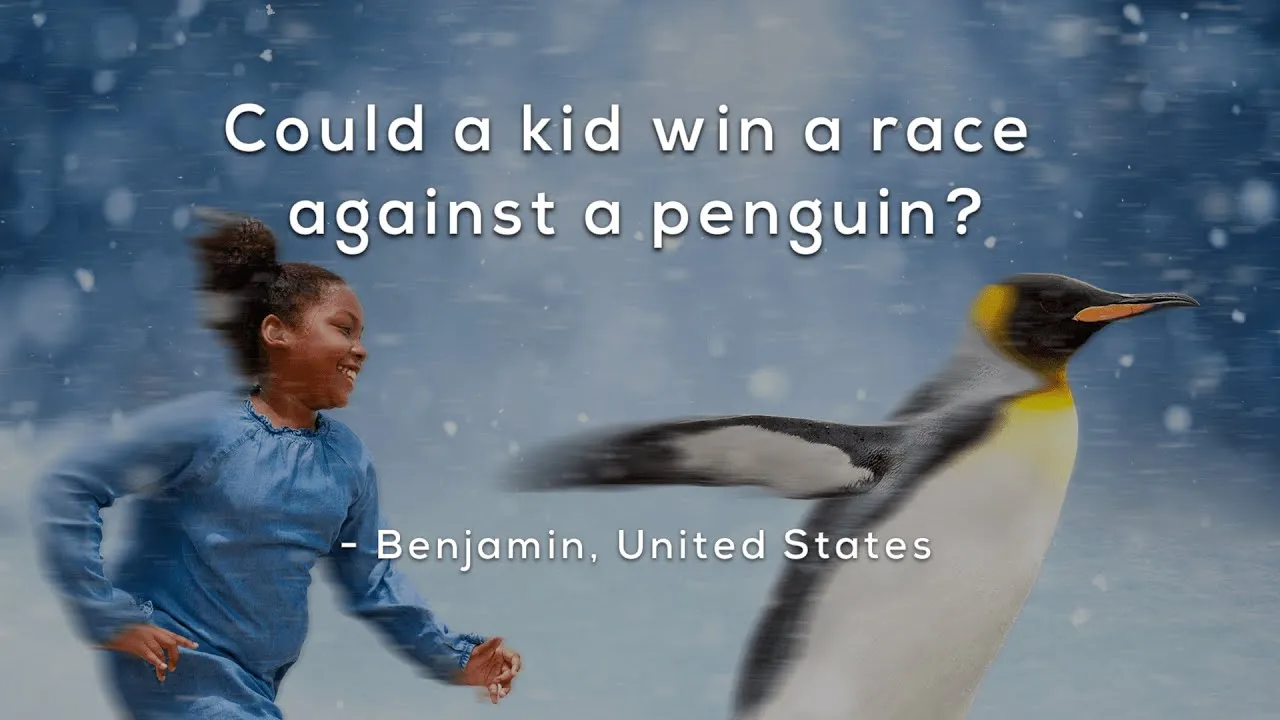 Could a kid win a race against a penguin? - ClassX