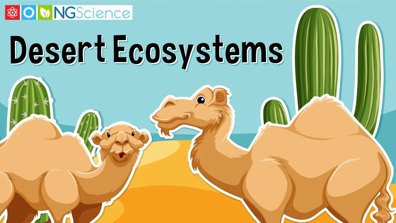 Desert Ecosystems - ClassX