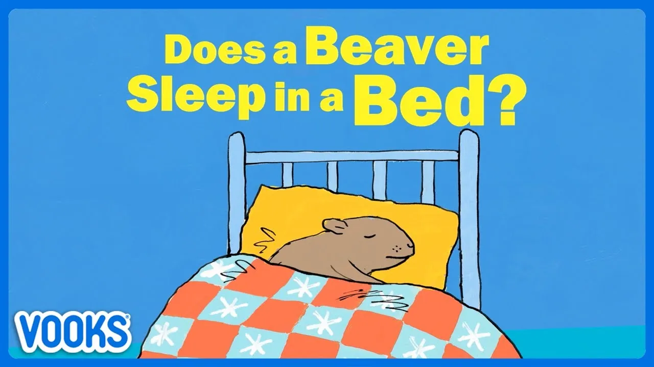 Does A Beaver Sleep in a Bed? - ClassX
