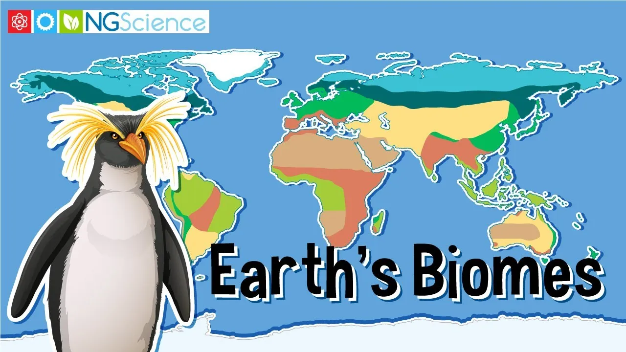 Earth's Biomes - ClassX