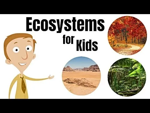 Ecosystems for Kids - ClassX