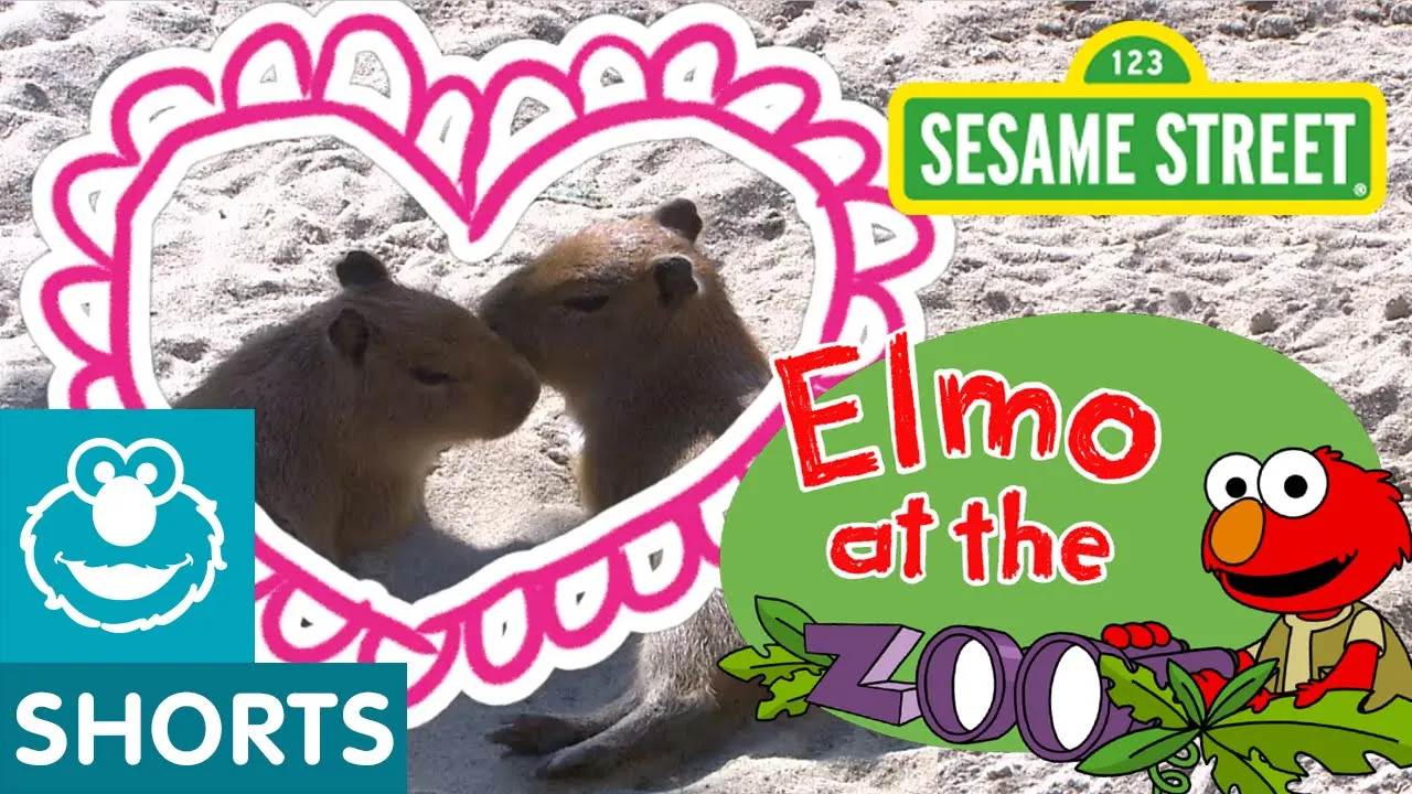 Elmo Loves Animals (Elmo at the Zoo #3) - ClassX