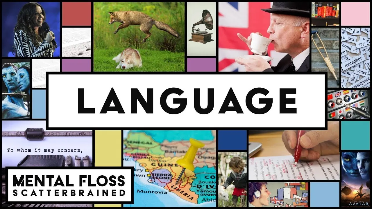 Everything You Need to Know About English and Other Languages ...