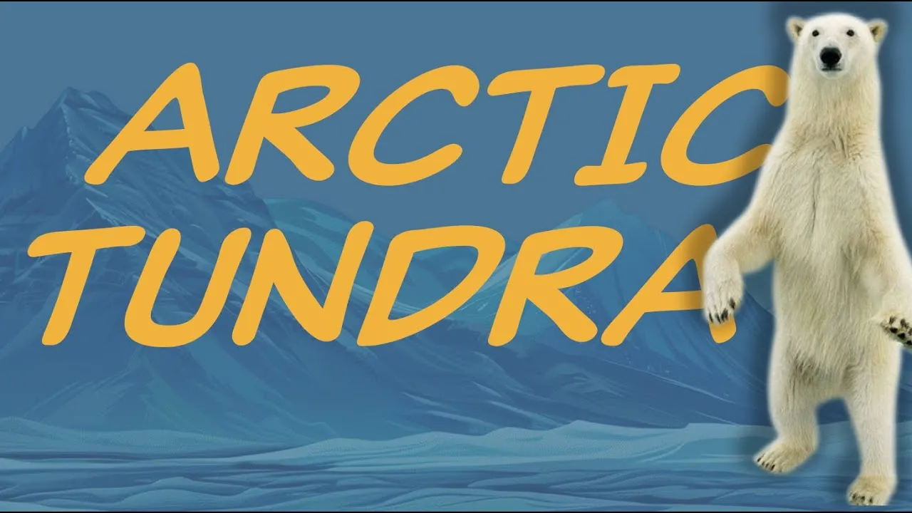 Explore the ARCTIC TUNDRA biome ???? Nature Ecology & Environment - ClassX