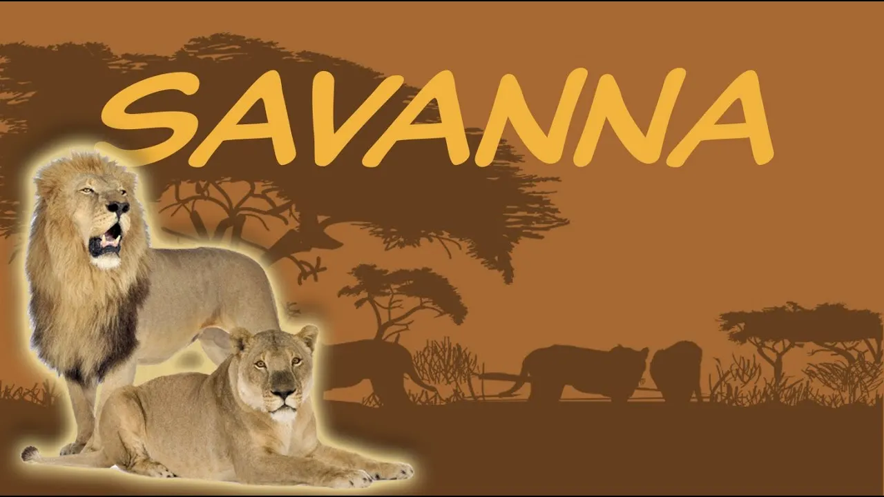 Explore the Savannah Biome = Tropical Grassland ???? Nature Ecology ...