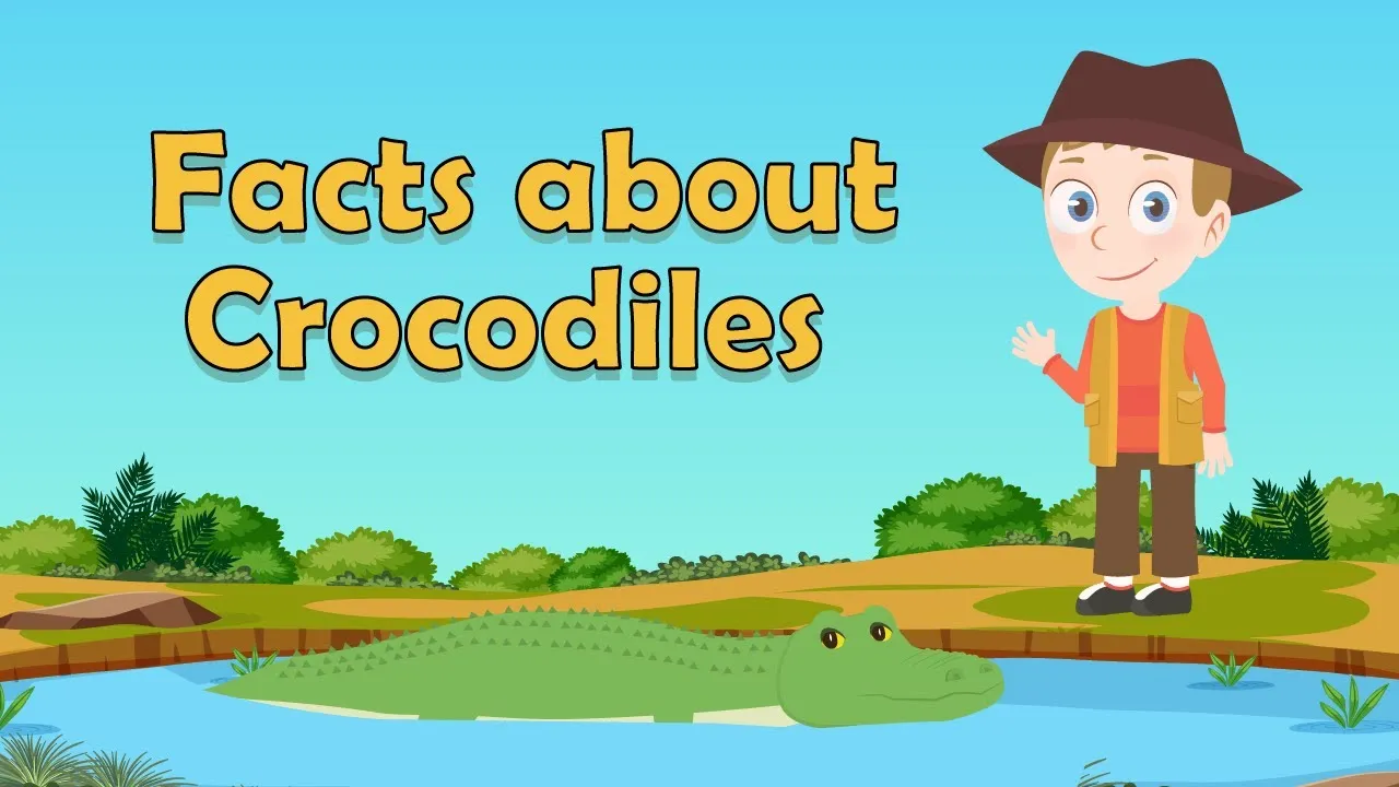 Facts about Crocodiles - ClassX